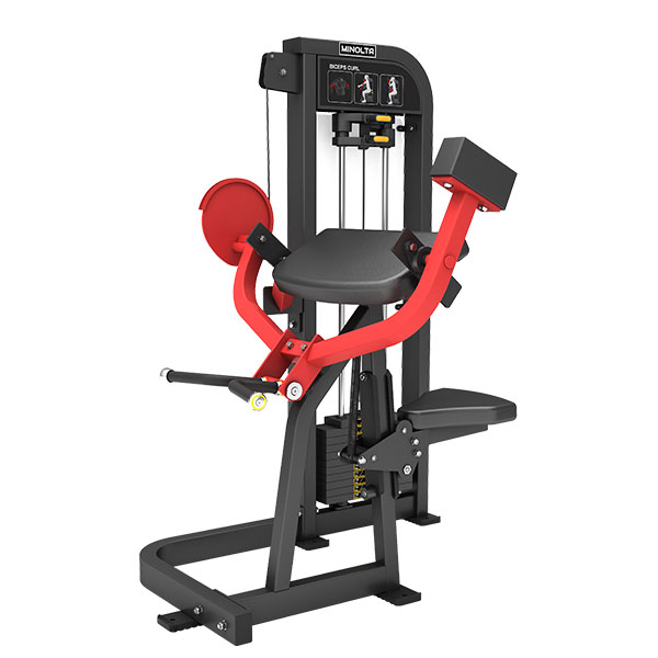 Hammer Curl Machine Dumbbell Incline Hammer Curl Guide, Benefits,
